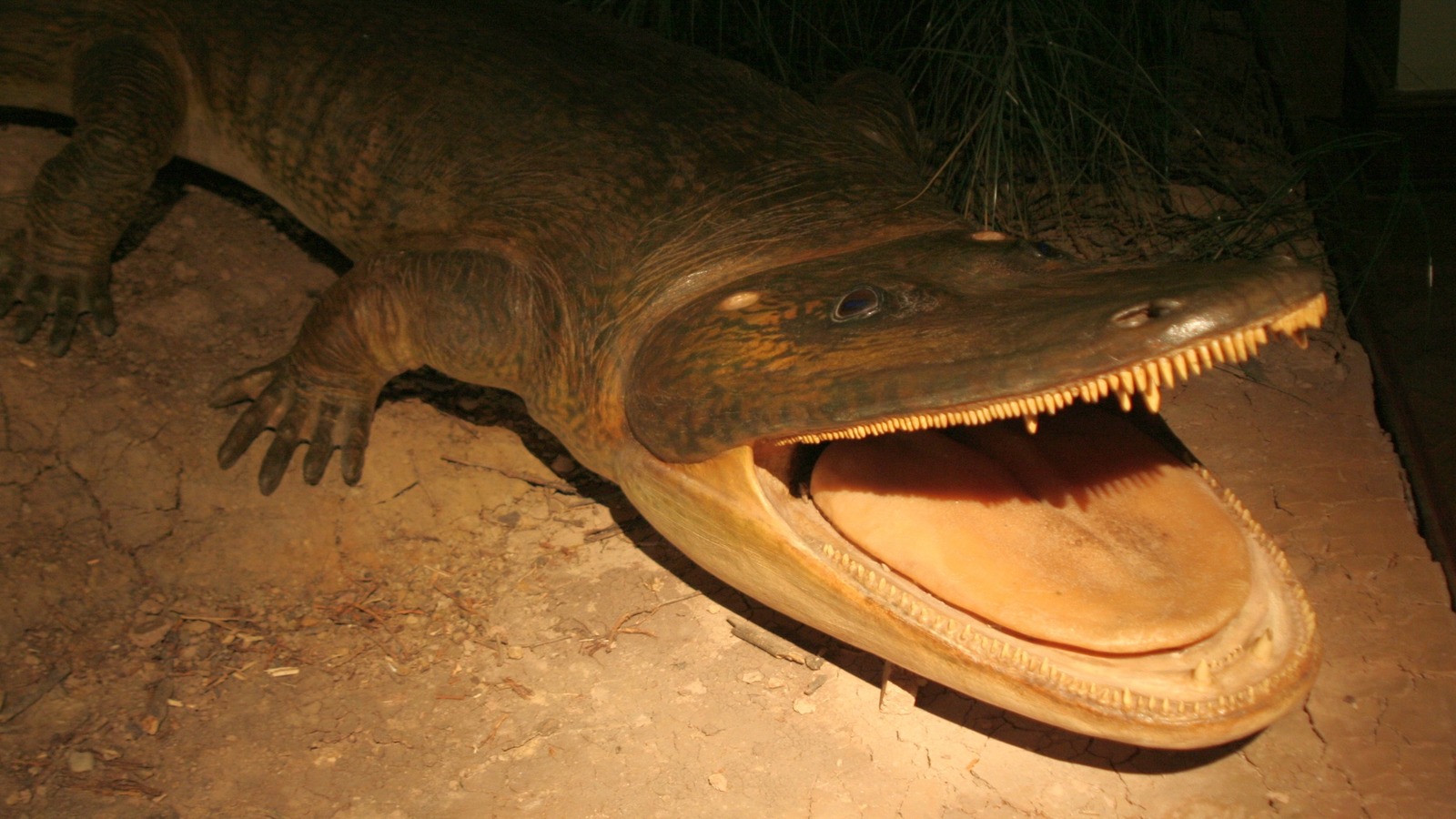 The Tragic Truth About The Triassic Mass Extinction