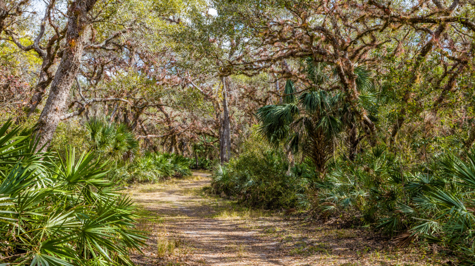 The Truth Behind The Hog Trail Murders