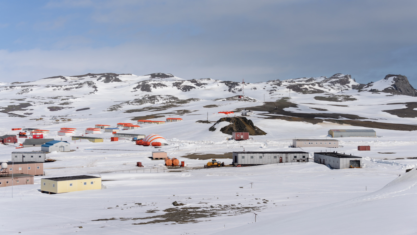 The Unbelievable Story Behind The Doctor Who Surgically Removed His Own ...