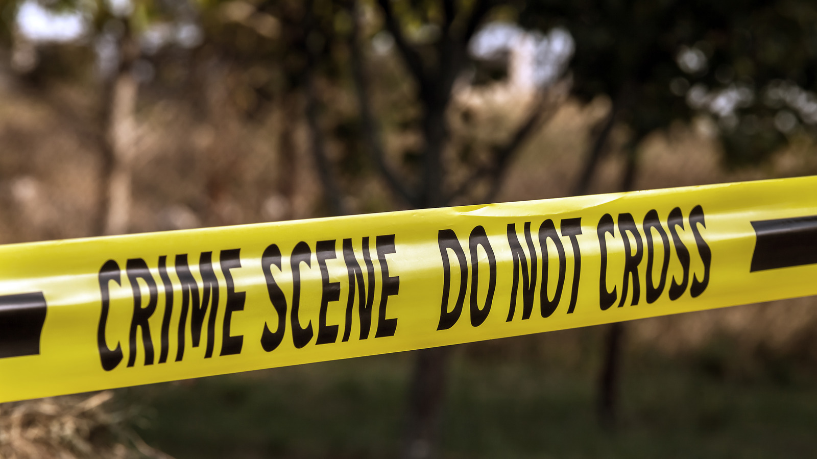 The Unsolved Murder Of Septic Tank Sam