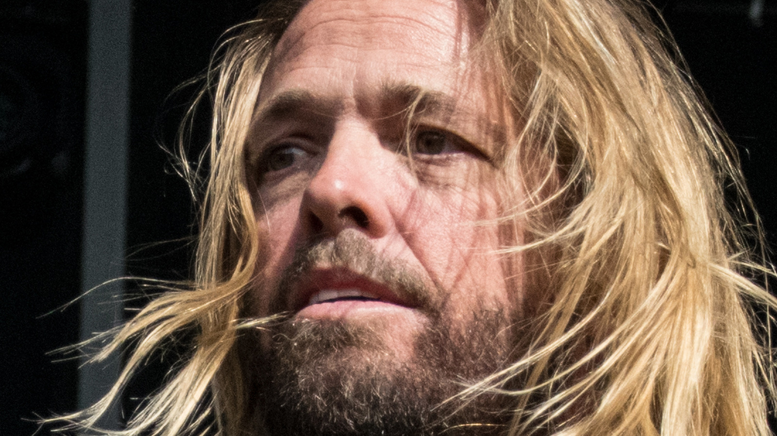 The Untold Truth Of The Foo Fighters' Taylor Hawkins