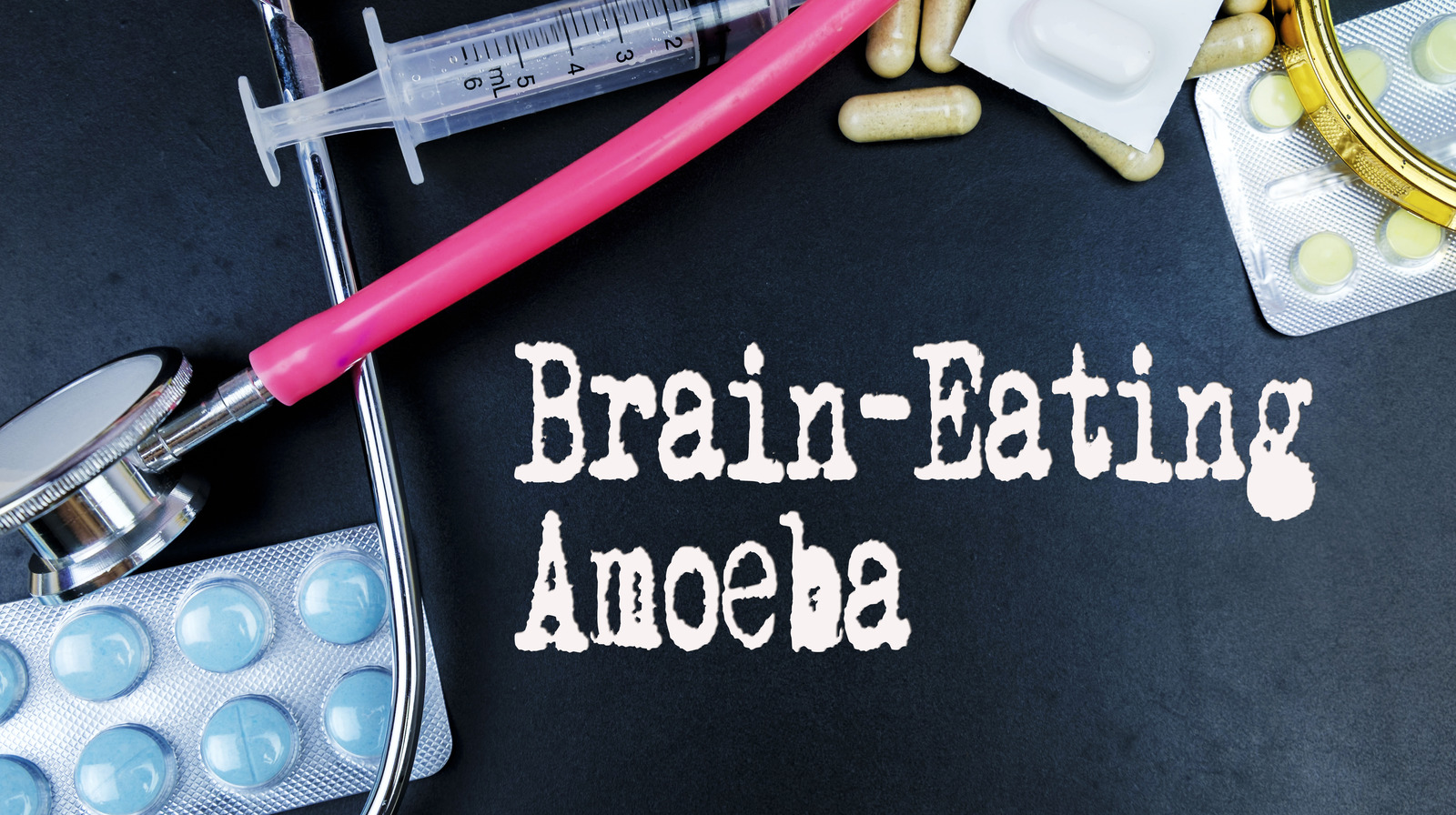 The Weird Truth About Naegleria Fowleri, The Brain-Eating Amoeba