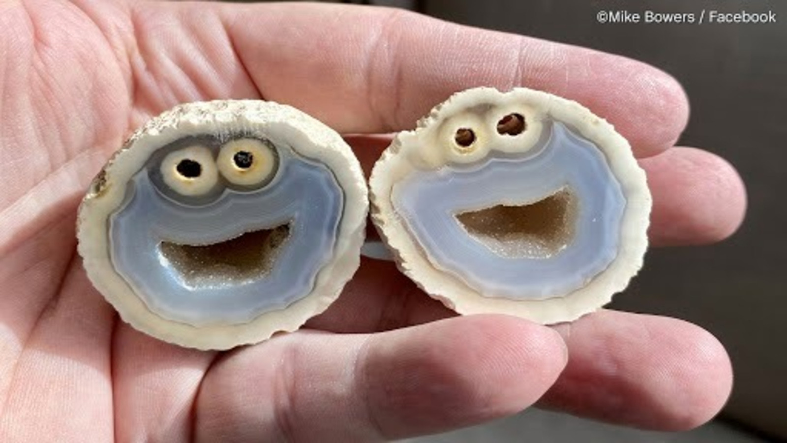 This Geode Has A Sesame Street Lookalike That Has The Internet Talking