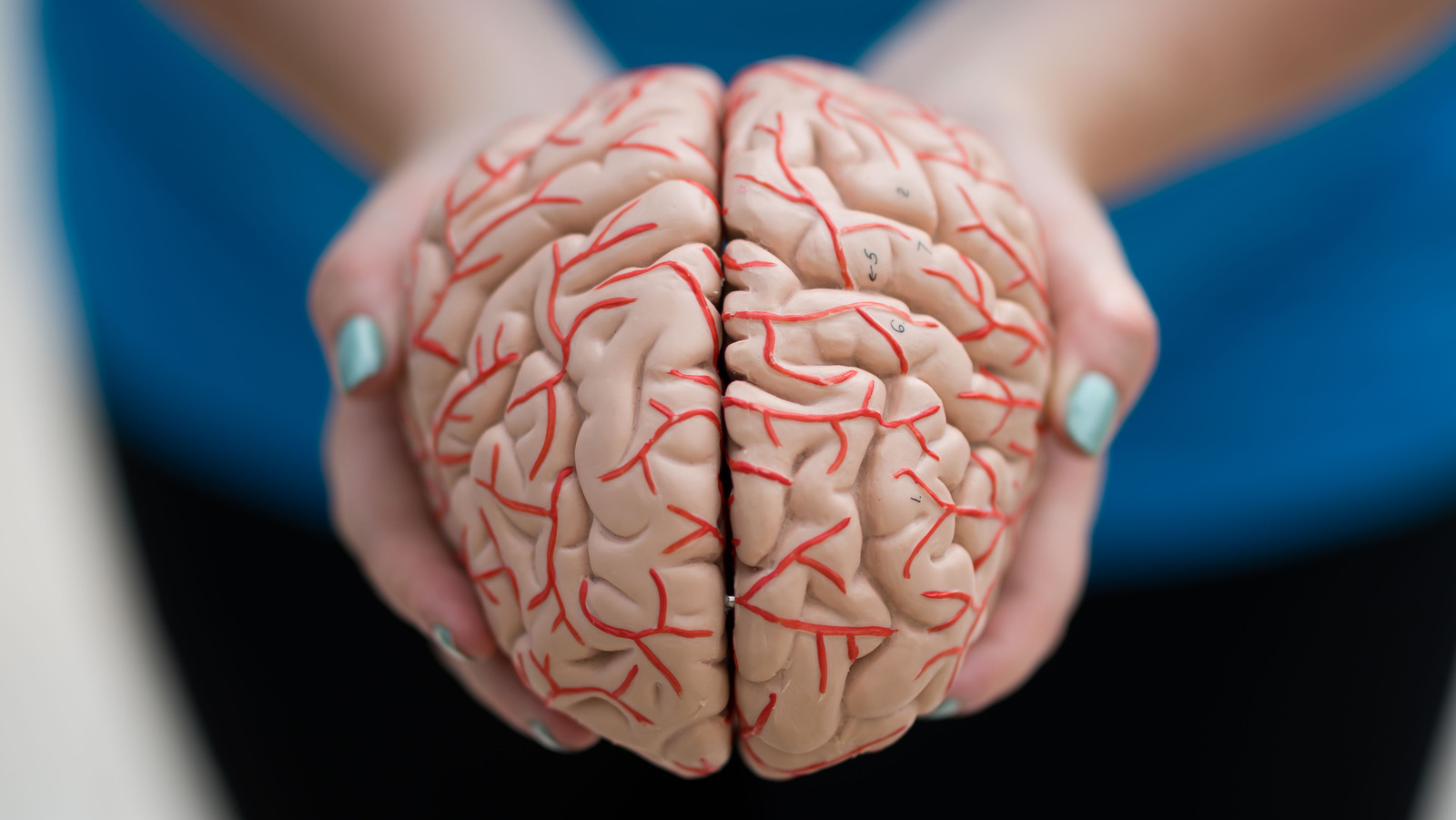 This Is How Brains Are Examined For CTE After Death