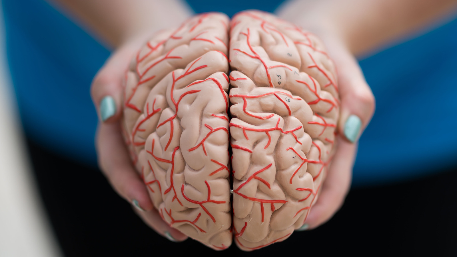 This Is The Exact Number Of Minutes Your Brain Can Function After You Die