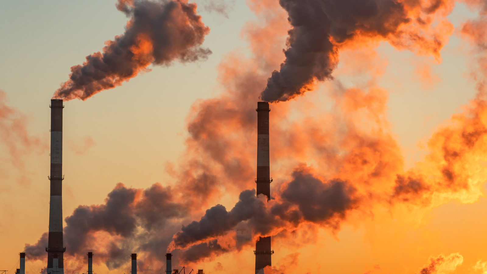 This Is What Climate Anxiety Does To Your Brain, According To Science