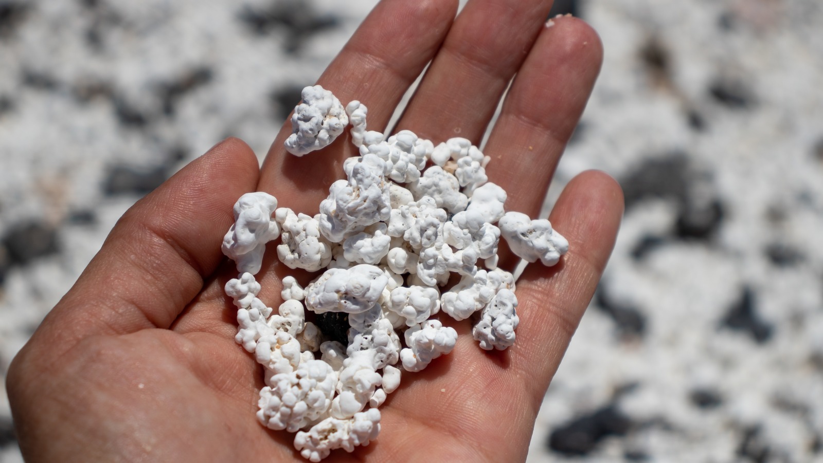 This Unique Canary Island Beach Will Make You Hungry For Some Popcorn