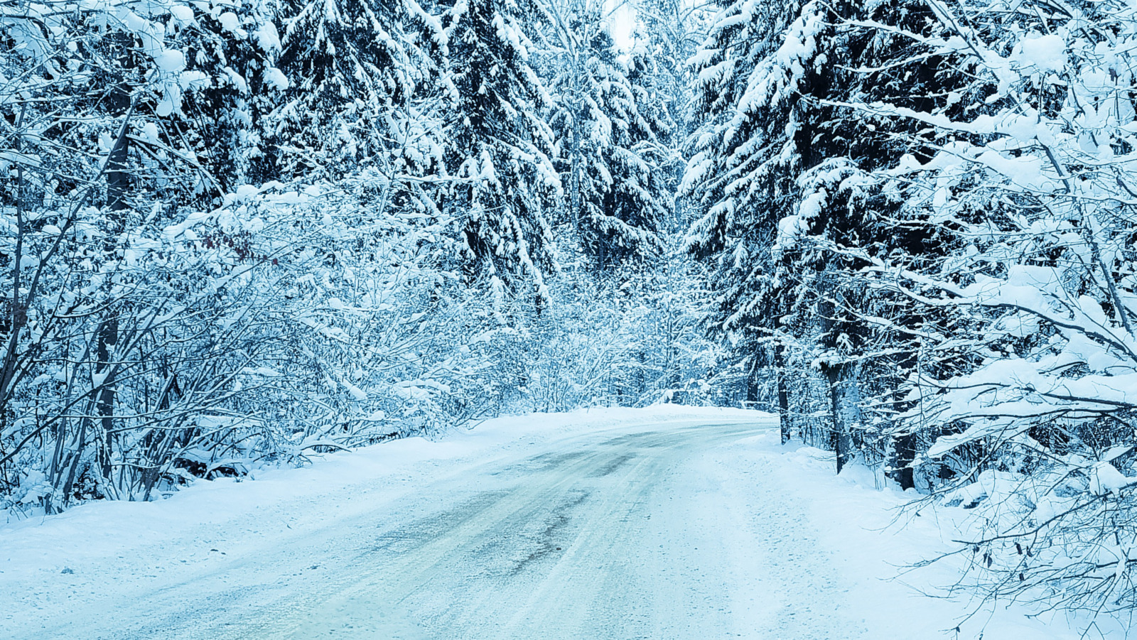 This Was The First Documented Starlight Tour Case