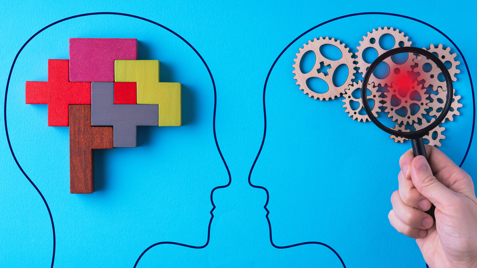 We Finally Know Why The Human Brain Is So Big