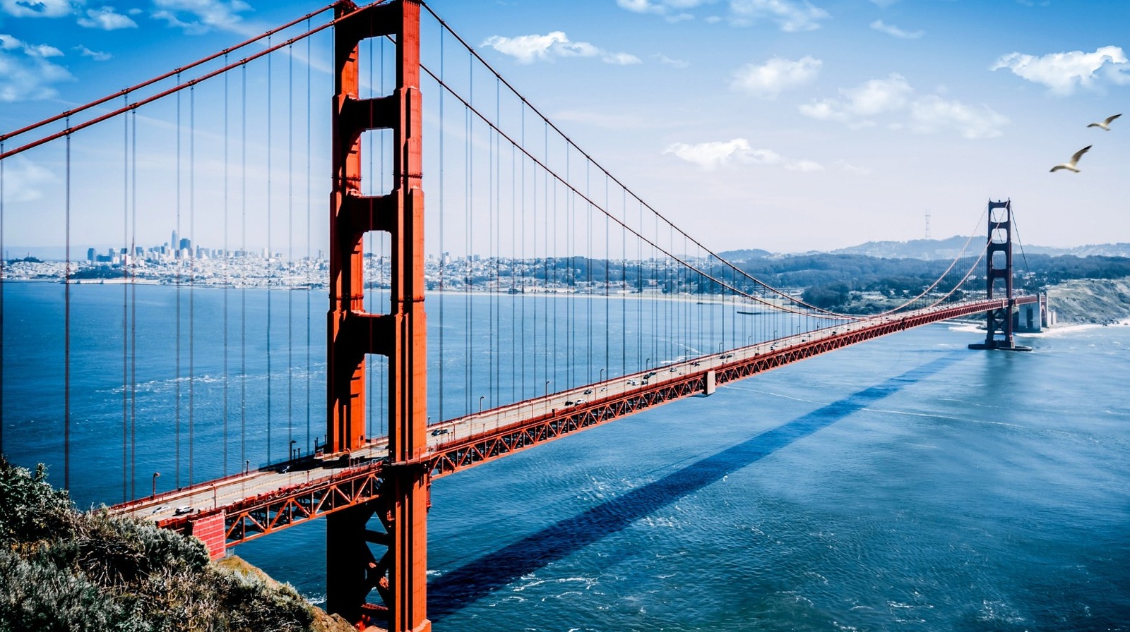 Weirdest Laws In California Weirdest Laws In California