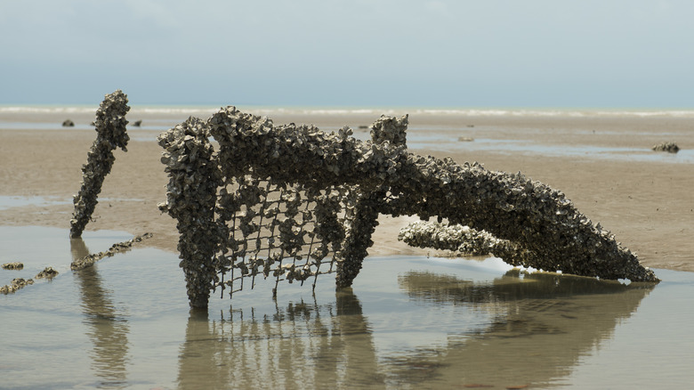 What Actually Happens When Lightning Strikes Sand? What Actually Happens When Lightning Strikes Sand?