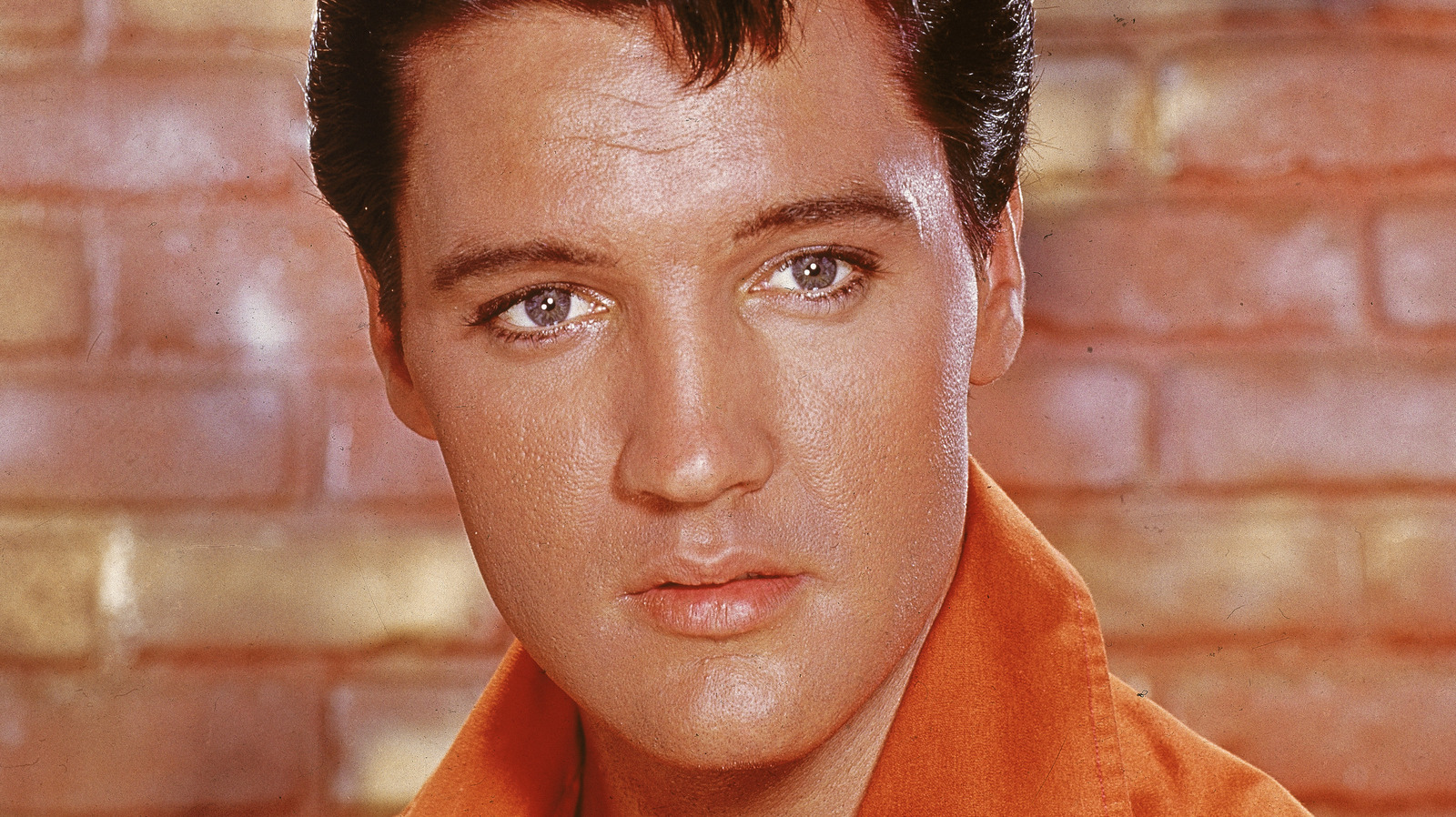 What Elvis Really Thought About His Infamous Appearance On Steve Allen ...