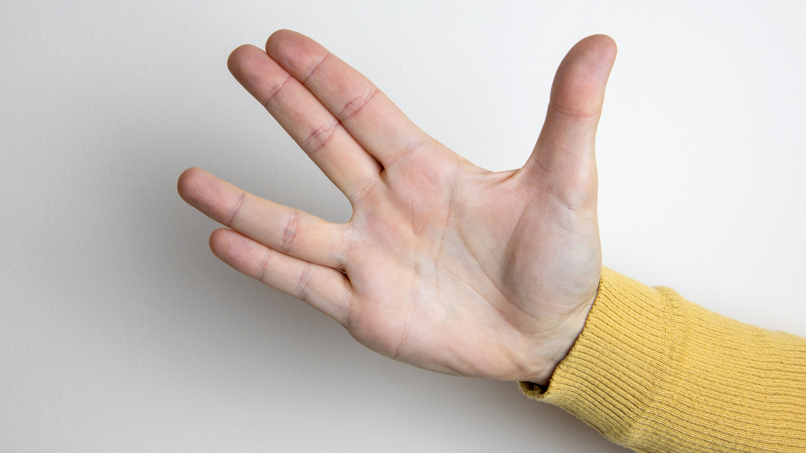 What First Contact Day Really Means To Star Trek Fans