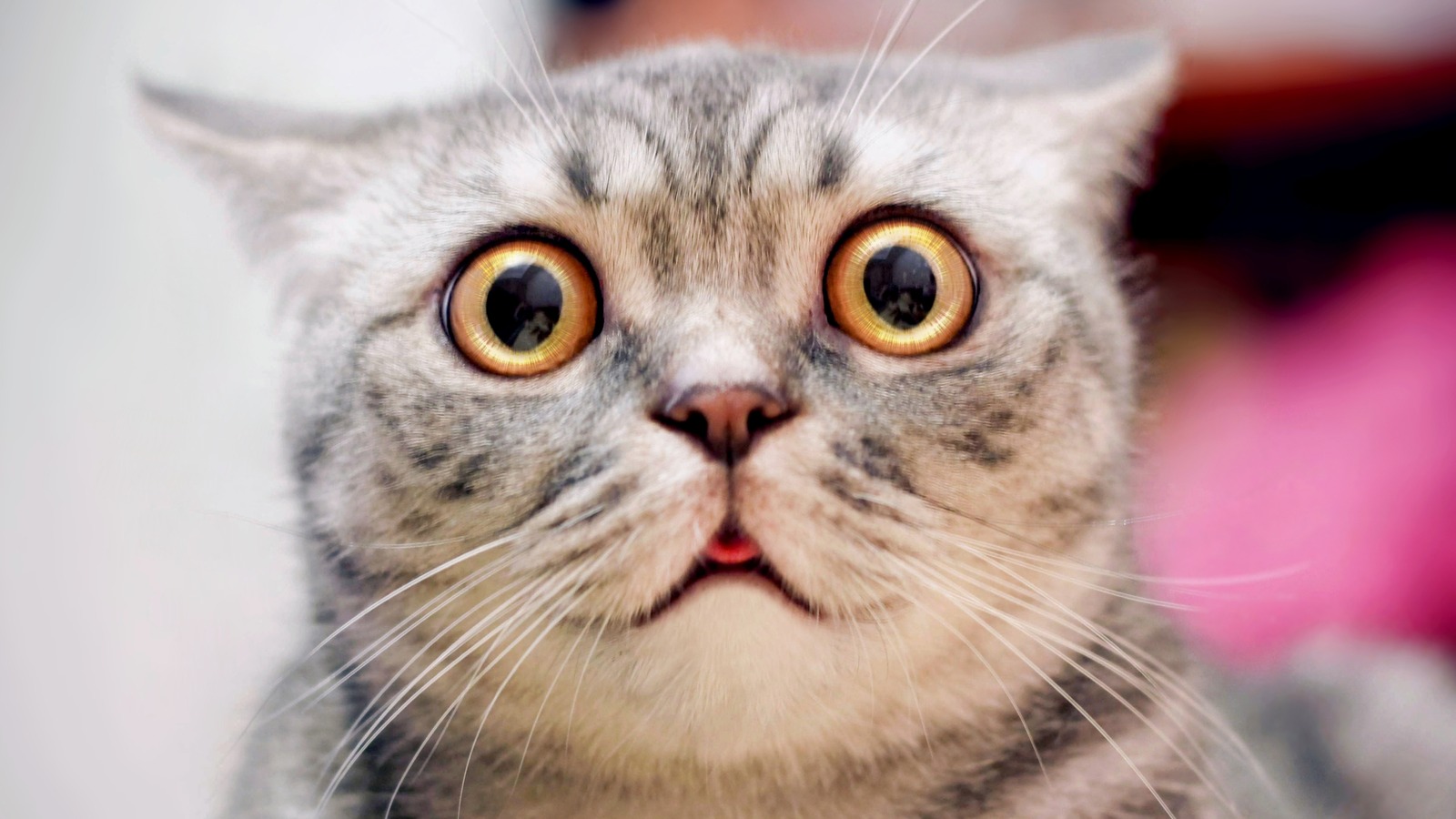 What Happens To Your Body After A Jump Scare, According To Science