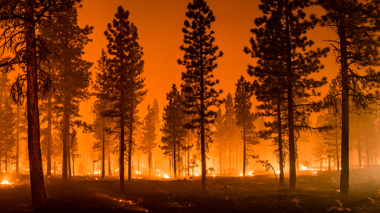 What Is A Heat Apocalypse?