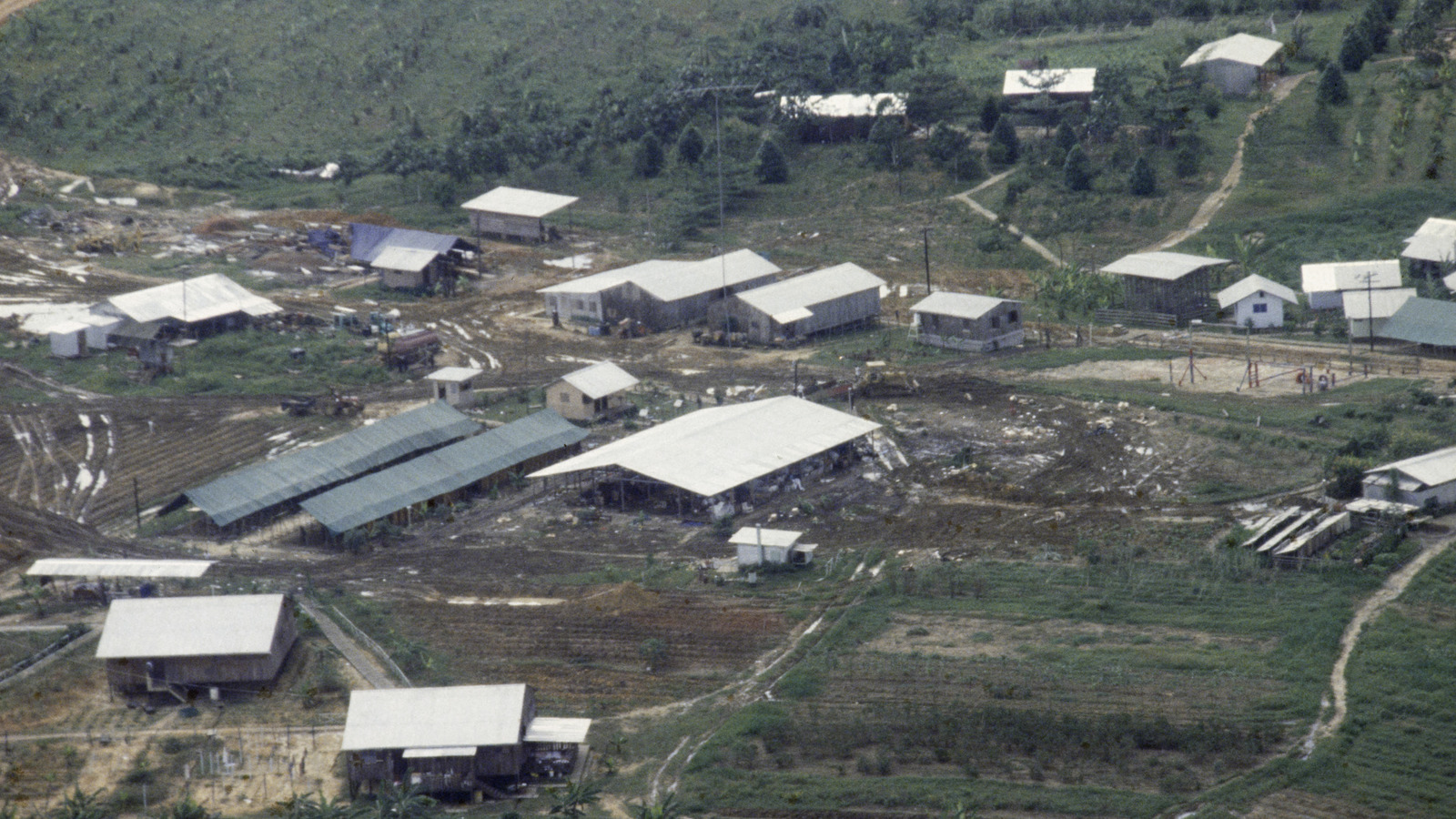 What It Was Really Like At Jonestown The Day Of The Massacre