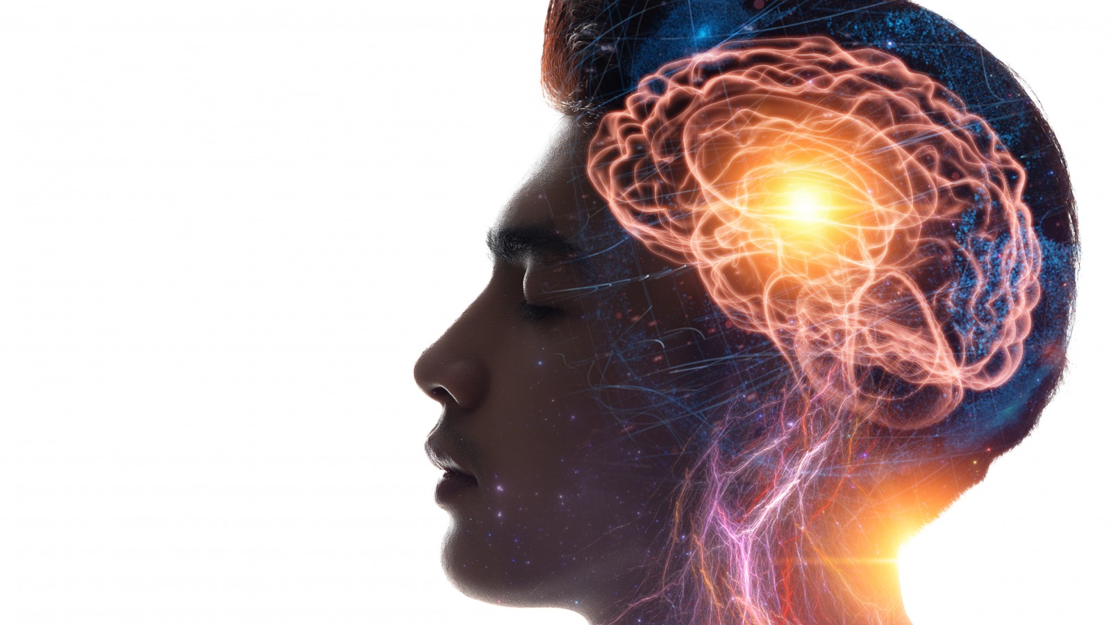 What Percent Of Your Brain Do You Really Use?