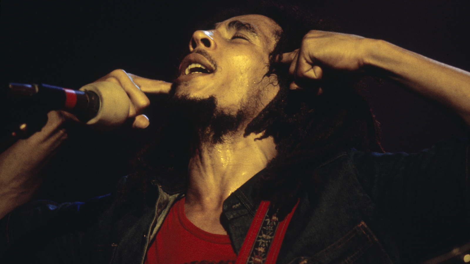 What Was The Last Song Bob Marley Released Before He Died?