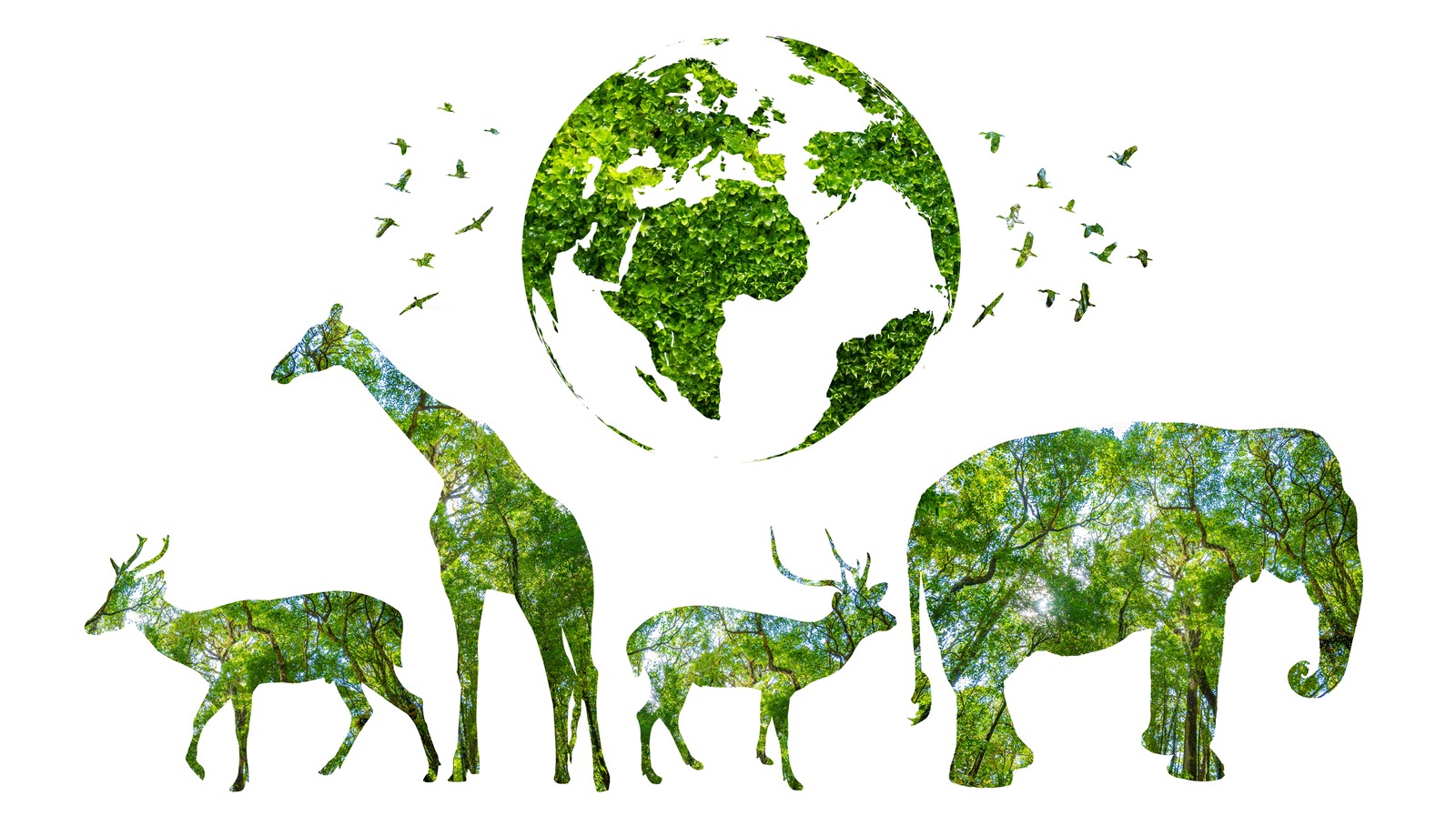 What Occurs To People If Animals Go Extinct Idrgstore What Occurs To People If Animals Go Extinct Idrgstore