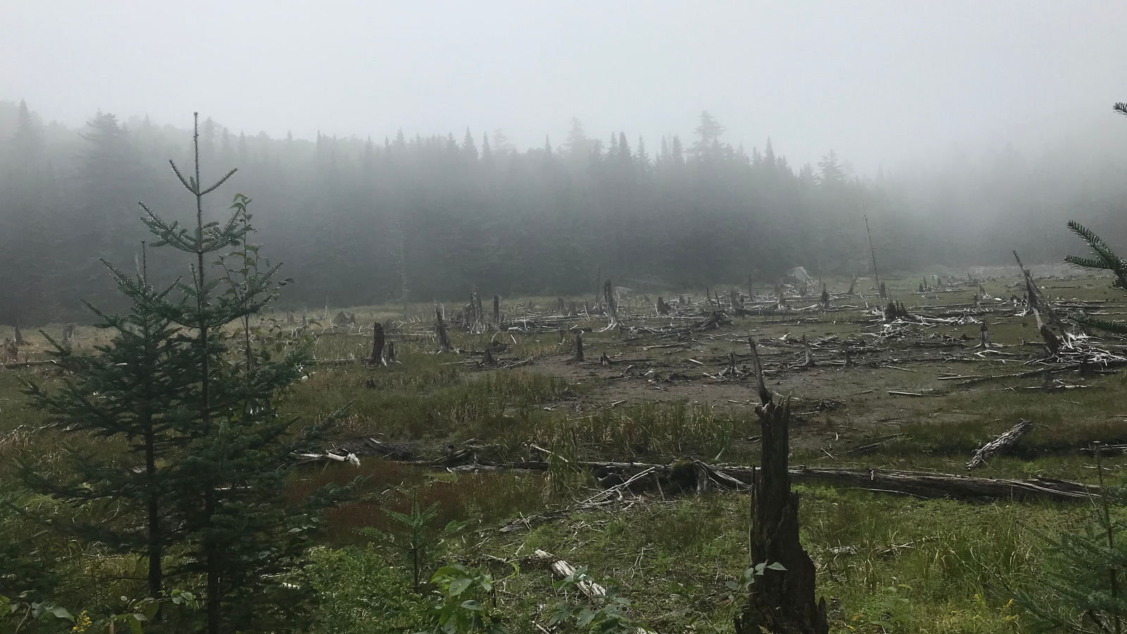 What You Need To Know About The Mysterious Bennington Triangle ...