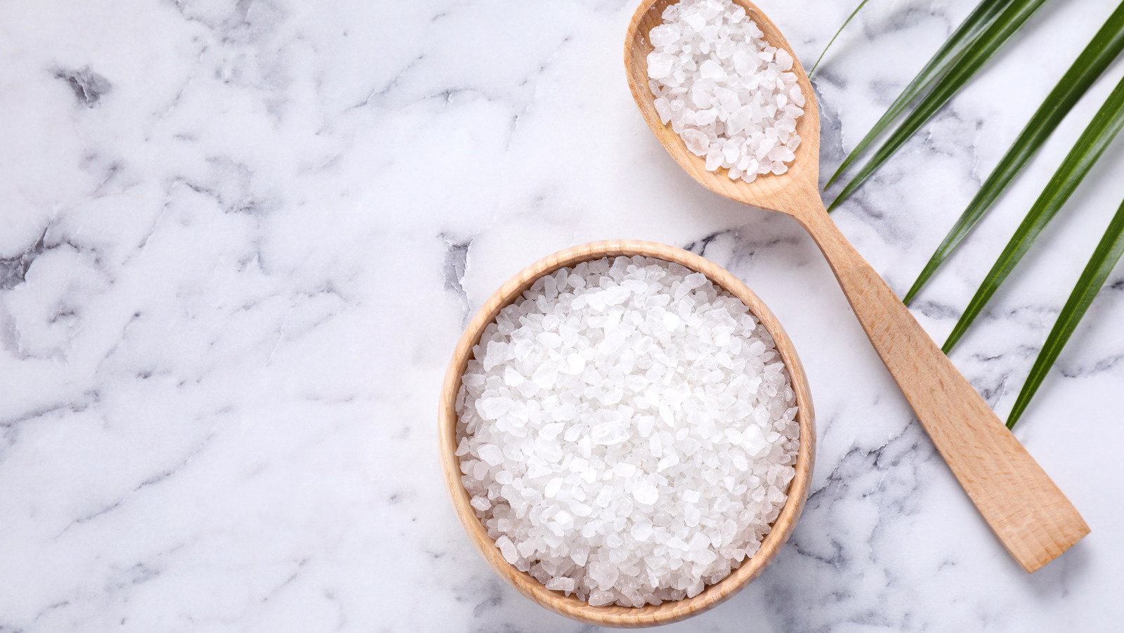 What You Thought You Knew About The 2012 Cannibal Attack In Miami Was ...