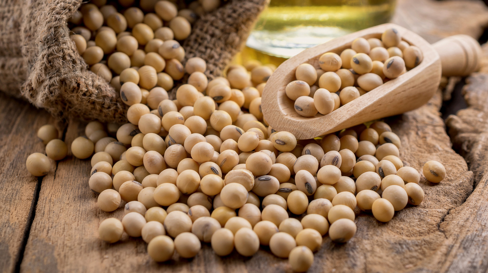 Where The Phrase 'Spill The Beans' Comes From