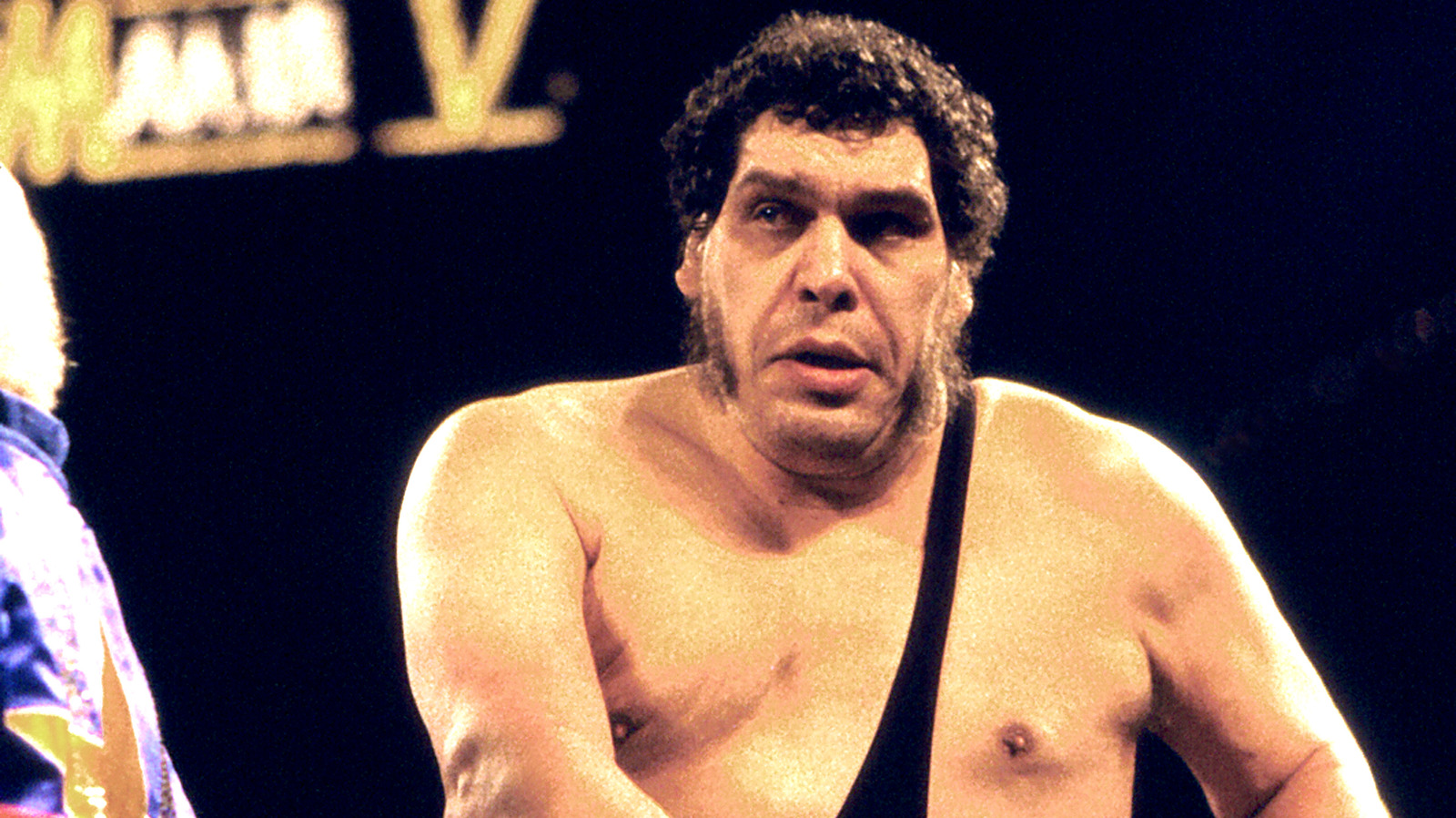 Who Inherited Andre The Giant's Money After He Died?