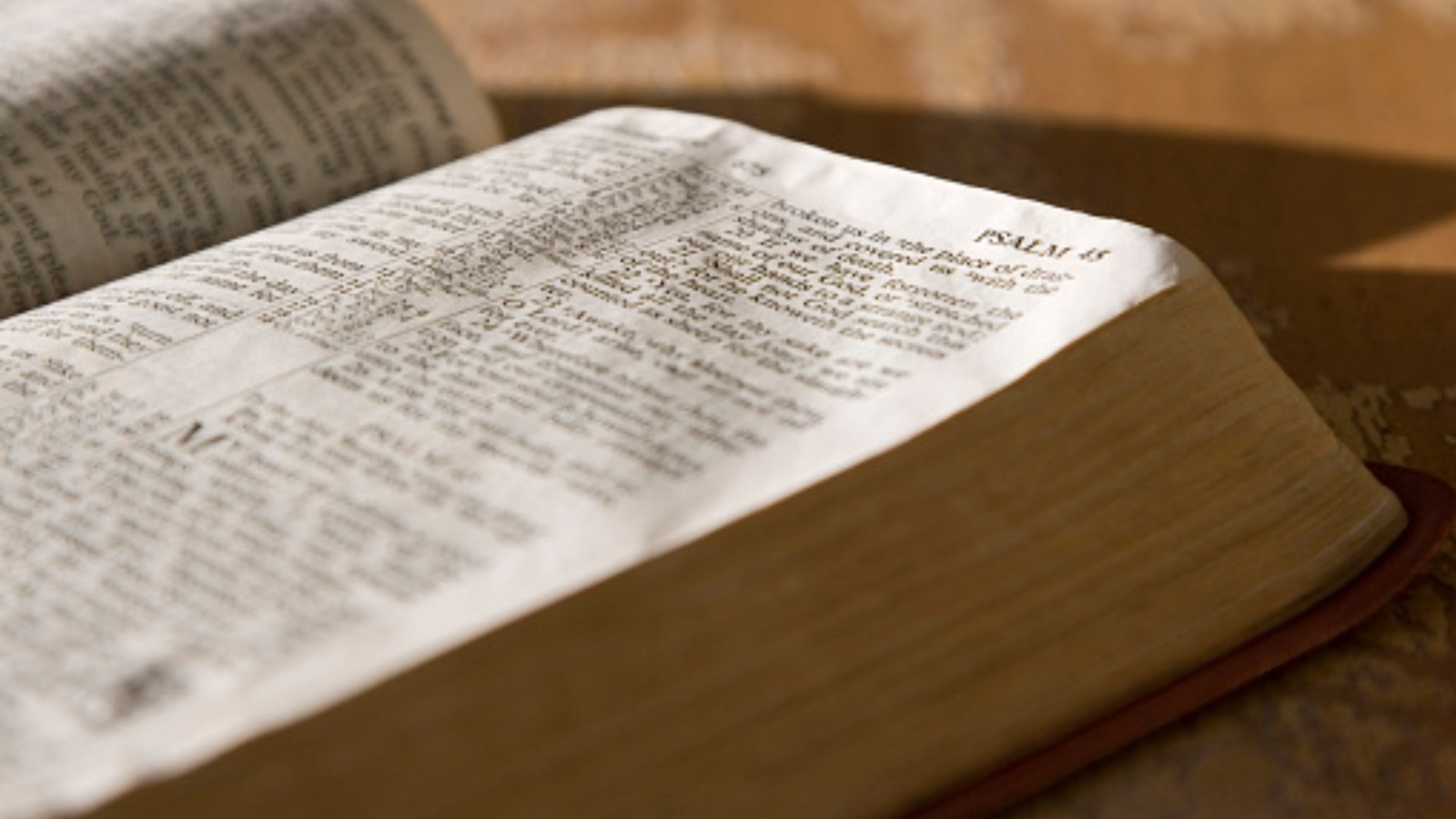 Why There Are Few Copies Of The Wicked Bible Left Today