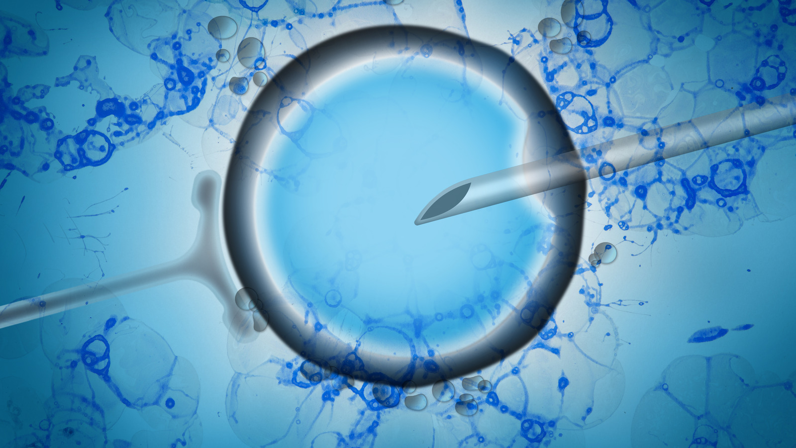 Why Wasn't Dr. Donald Cline From Netflix's Our Father Charged With Fraud?