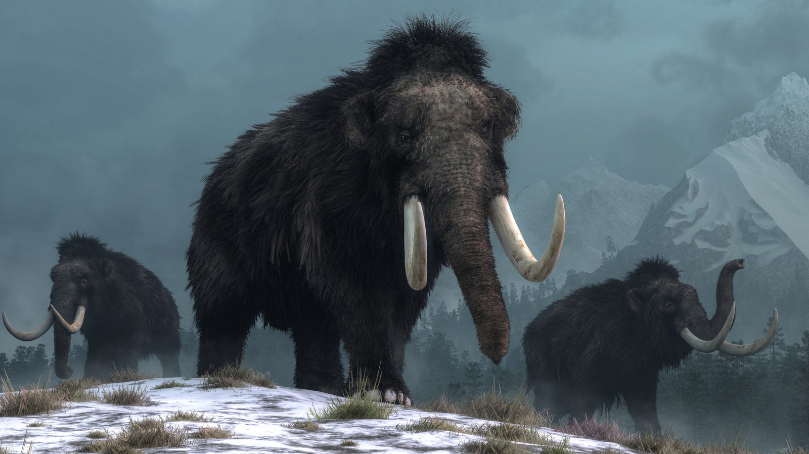 Woolly Mammoth Is On The 'Menu' For An Australian Food Startup
