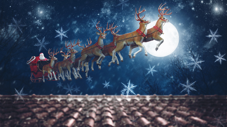 You Never Knew This About Santa's Reindeer