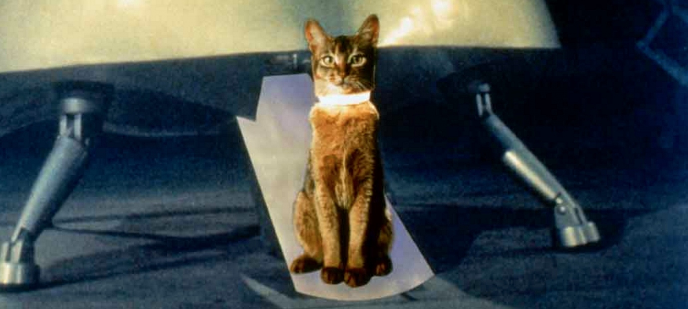 Strange Ways Aliens Have Been Portrayed On Film