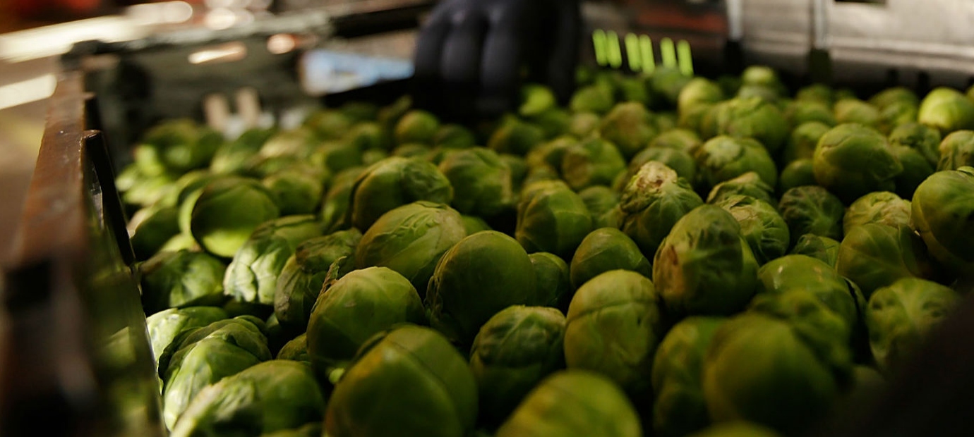 Crazy Brussels Sprouts Facts You Probably Didn't Know